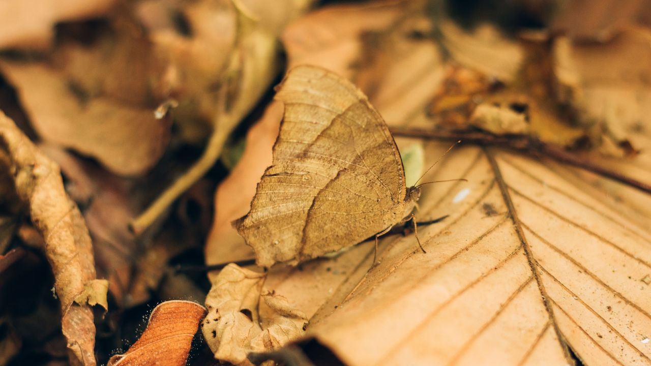 Taking off the cloak of invisibility | World IP Review